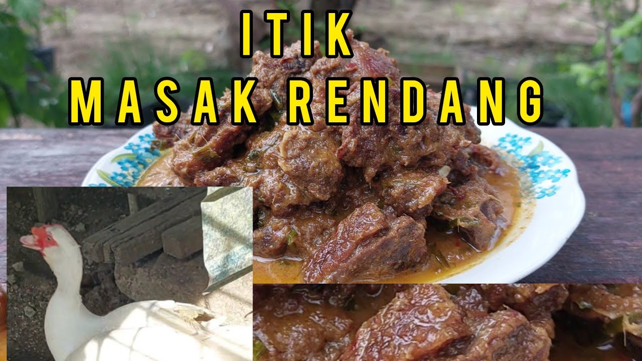Duck Rendang With Fresh Ingredients // Itik Masak Rendang Dengan Bahan ...