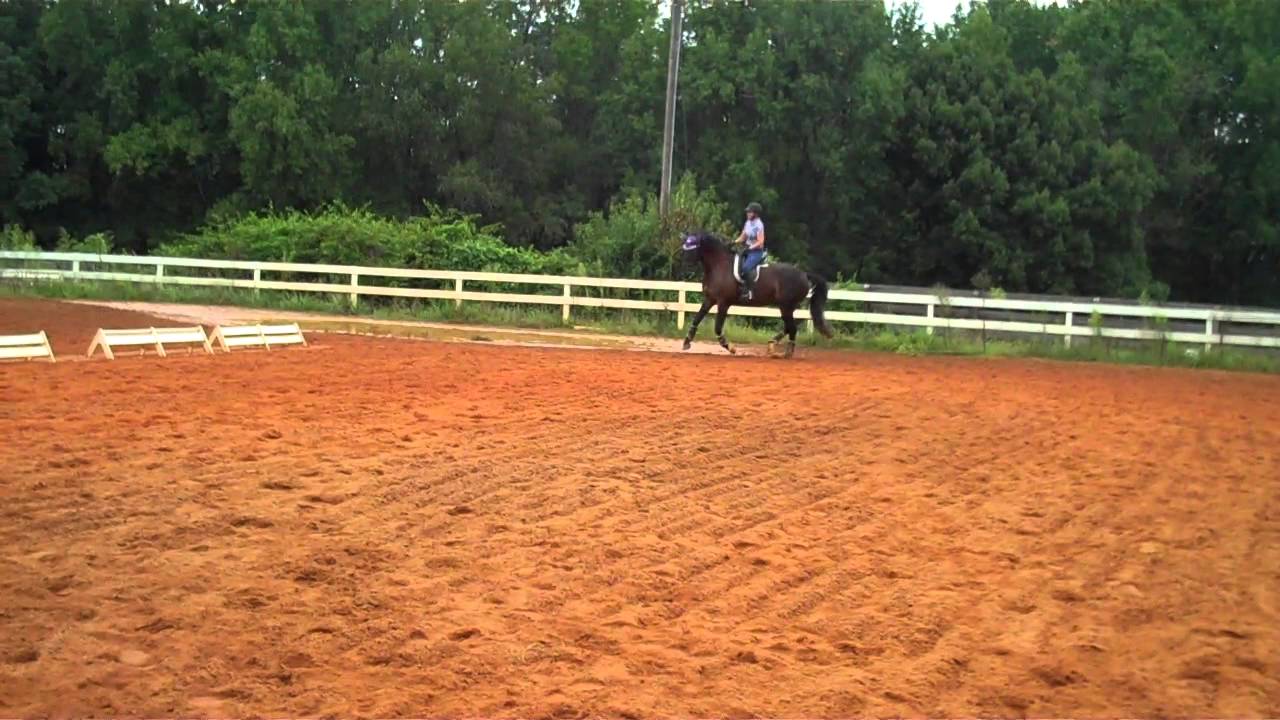 Randi Thompson. Canter. 2nd level. Improving the balance with 10 meter ...
