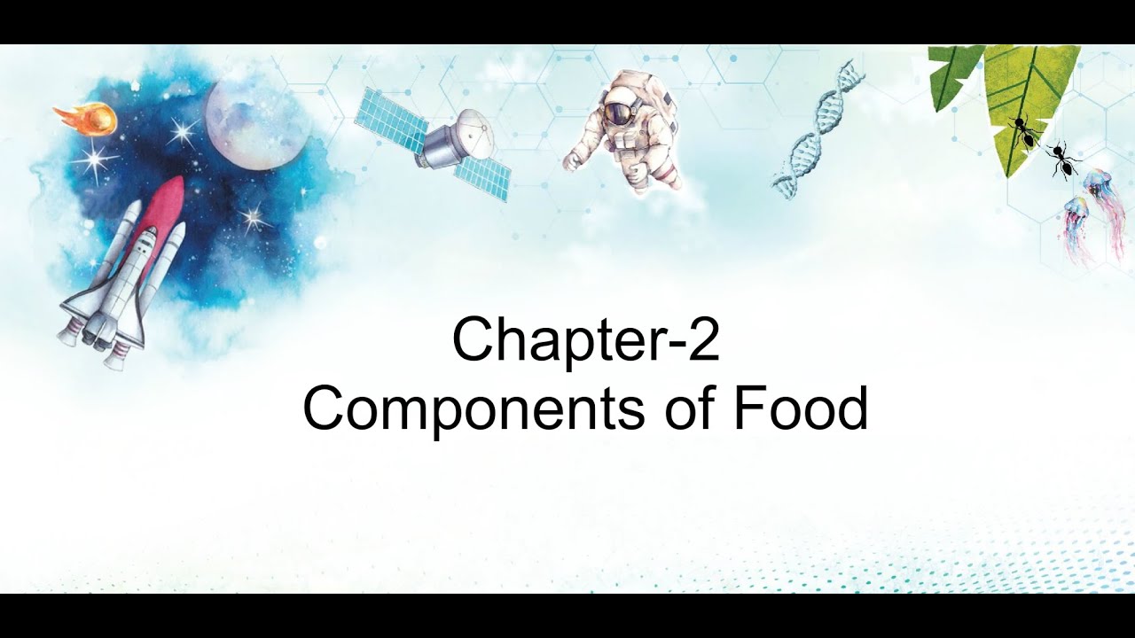 SCIENCE OUTLOOK 6: Chapter 2 - Components of Food - YouTube