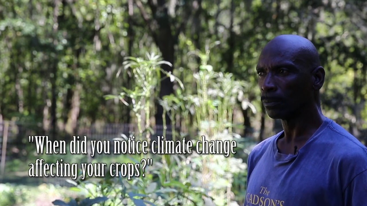 Andre Taylor Research Video - YouTube