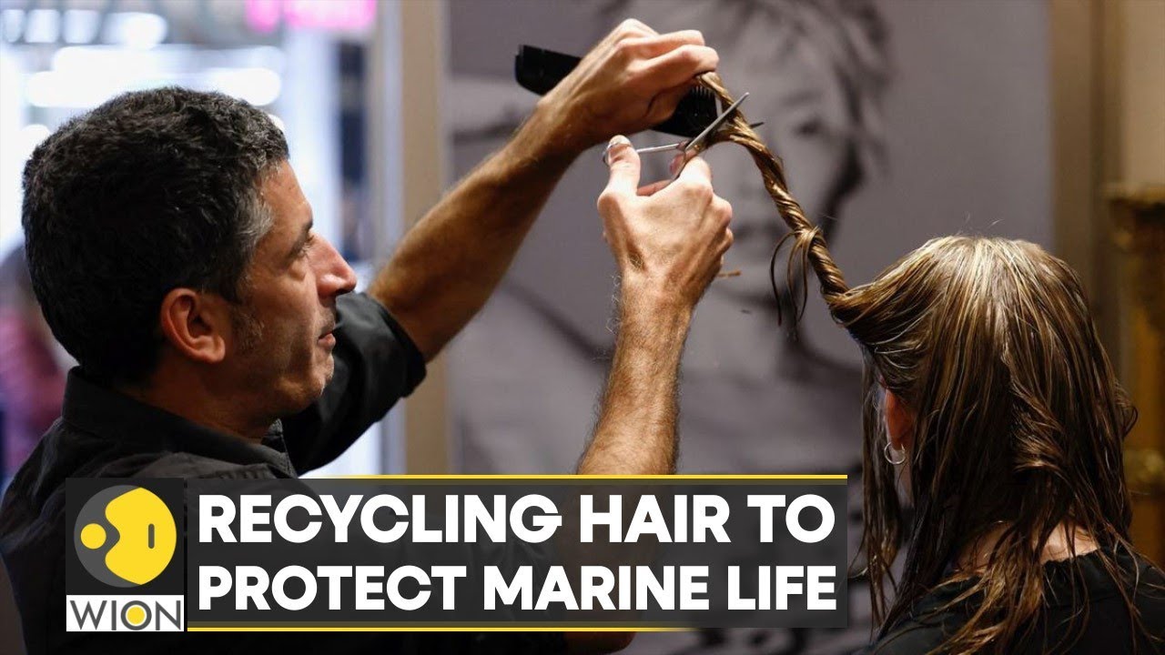 WION Climate Tracker: Belgian NGO is recycling human hair to protect ...