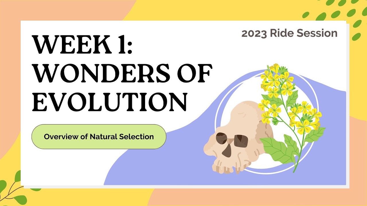 Wonders of Evolution - Natural Selection - YouTube