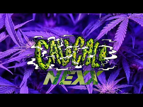 Nexx - CALI CALI prod.Martin Ruts [OFFICIAL VIDEO] - YouTube