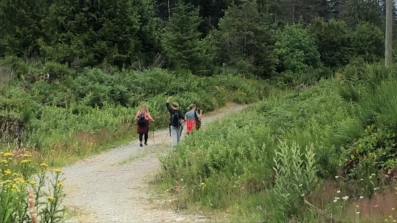 Volunteers comb backroads, lakes in search for missing woman Amber ...