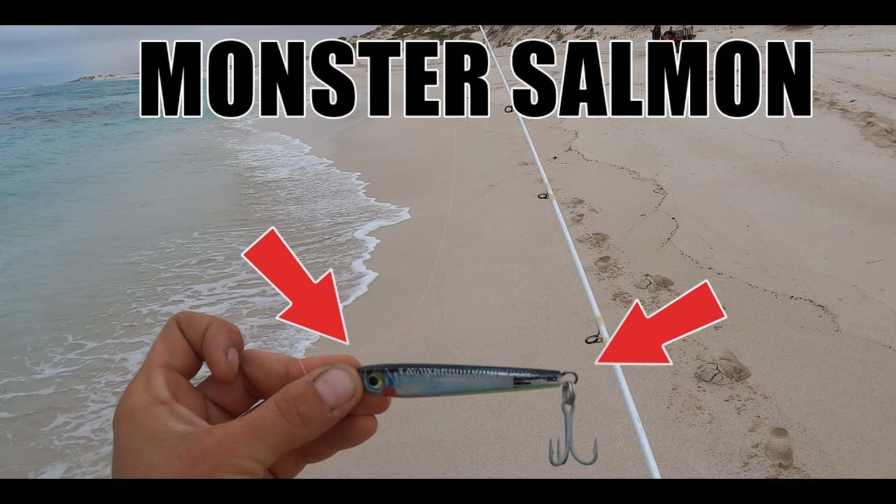 West coast and its monster salmon - YouTube