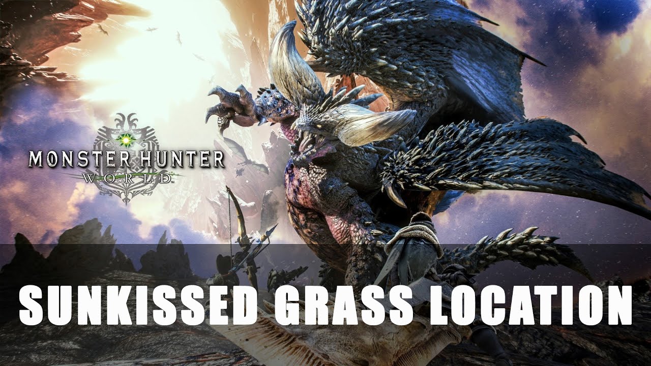 MHW: Sunkissed Grass Location - YouTube