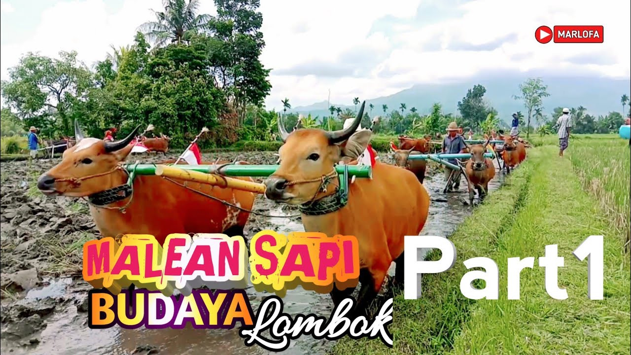Alam Desa MALEAN SAMPI bagian 1 2021 EKSTRIM lombok NTB - YouTube