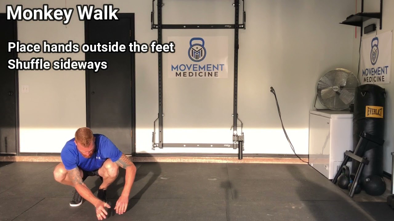 Monkey Walk - YouTube