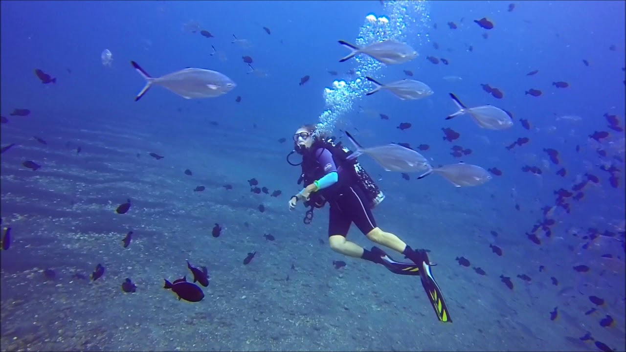 Pan Am Dive Ascension Island - YouTube