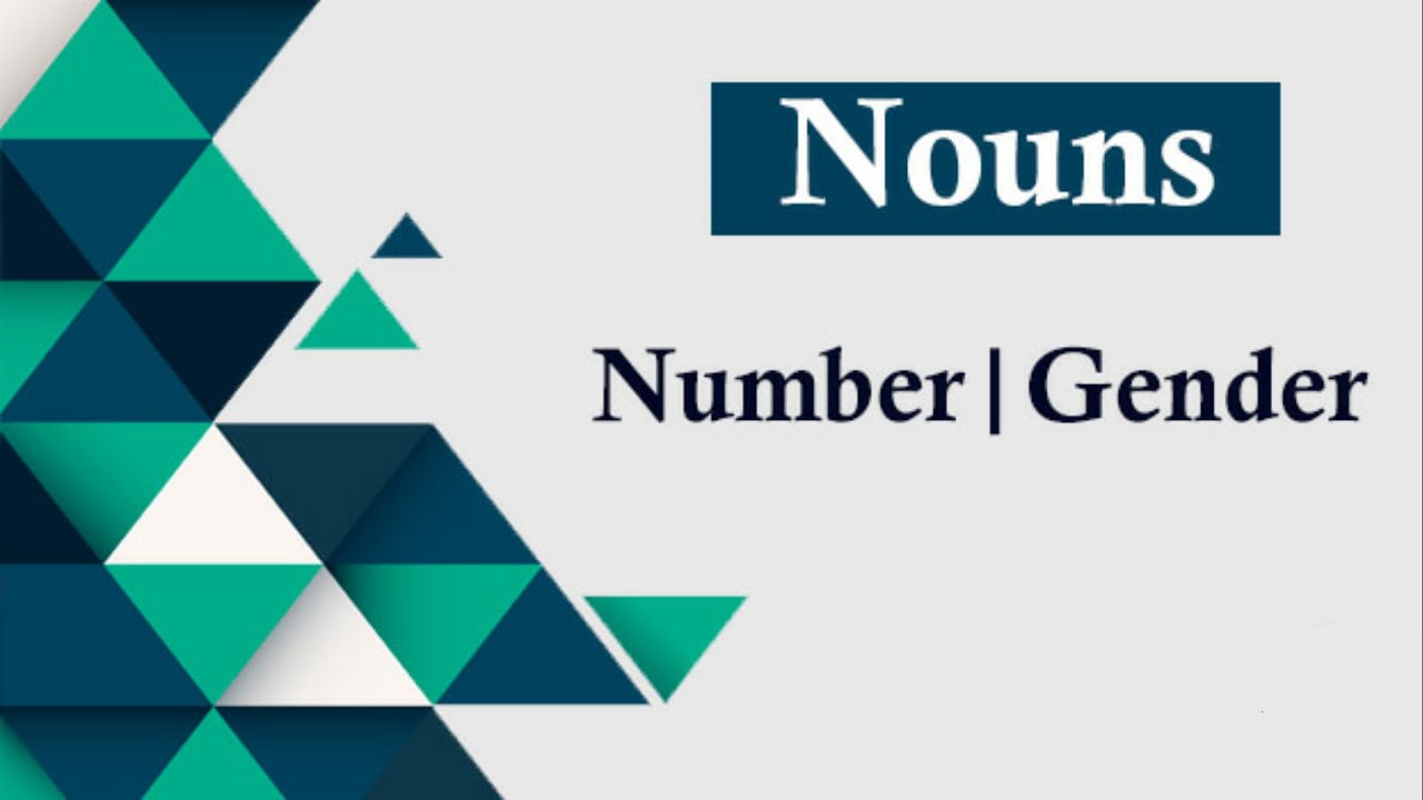NOUN GENDER AND NUMBER ENGLISH GRAMMAR - YouTube