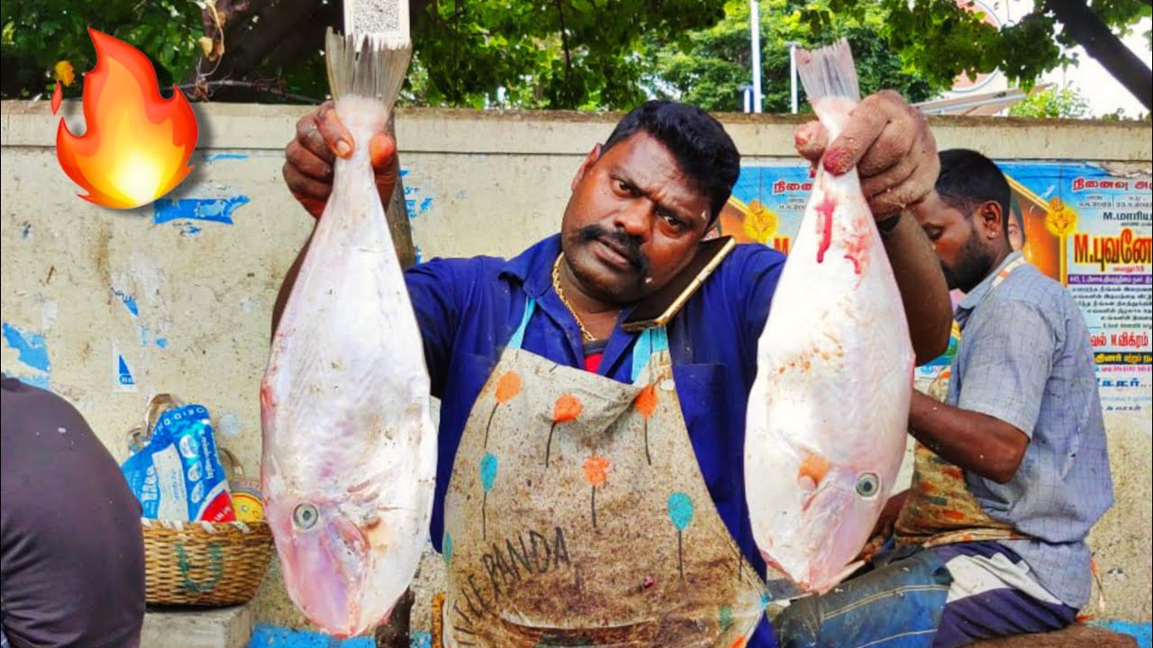 LEATHER JACKET FISH CUTTING🔥| KASIMEDU SELVAM FISH CUTTING | CKFC🔪 ...