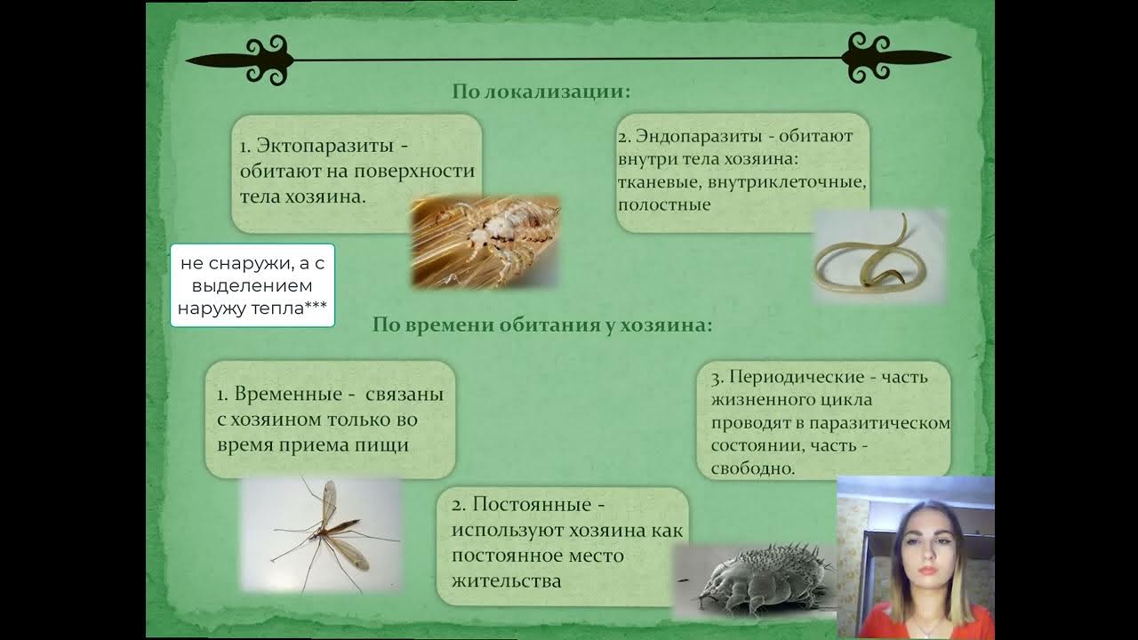 МЕДИЦИНСКАЯ ПАРАЗИТОЛОГИЯ | Урок 1. Введение - YouTube