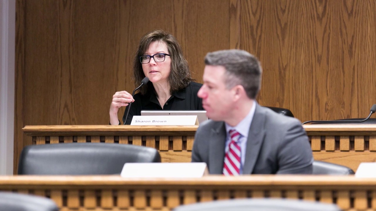 Sen. Sharon Brown on Week 3 of the 2017 Session - YouTube