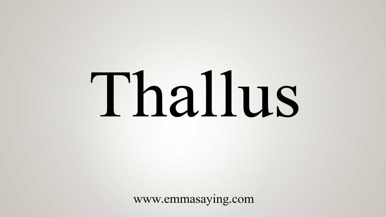 How To Say Thallus - YouTube