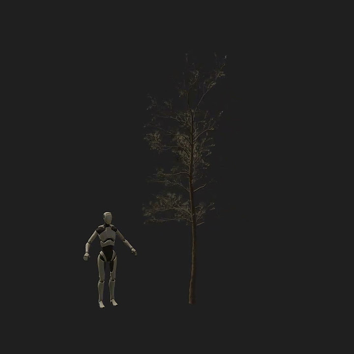 Pine 12 Gamedev 3dmodeling Unity Unityassetstore Unityasset Speedtree Youtube
