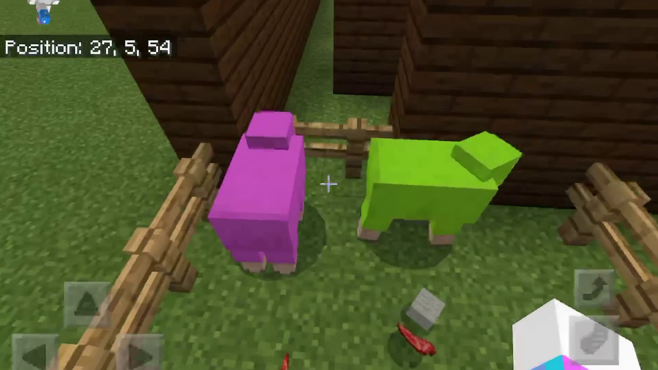 THE AMAZING MINECRAFT SHEEP RACE | FINALE - YouTube