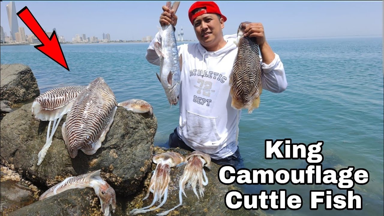 EP-263 Dumagsa ang Pusit sa gilid ng dagat..End Season na ng CUTTLE ...
