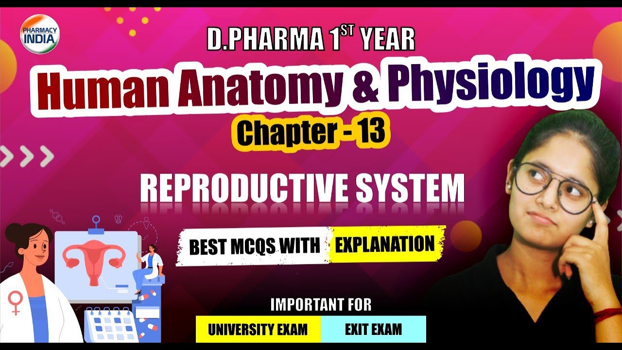 Reproductive System | Chapter - 13 | D.Pharma | 1 Year | Human Anatomy & Physiology - YouTube