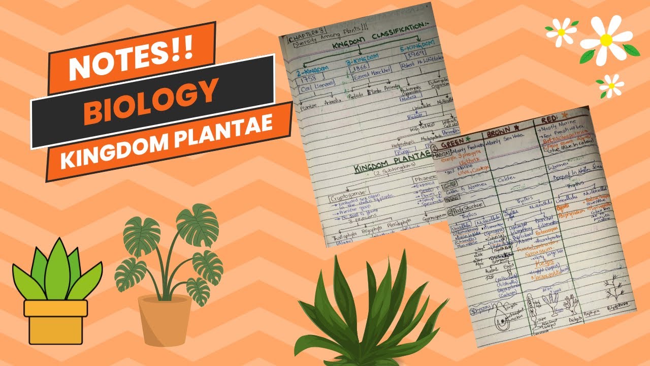 KINGDOM PLANTAE SELF NOTES WITH MCQ'S |BIOLOGY CLASS 11| MDCAT| NEET ...