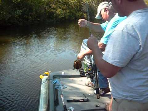 Catching a Turtle While Fishing - YouTube