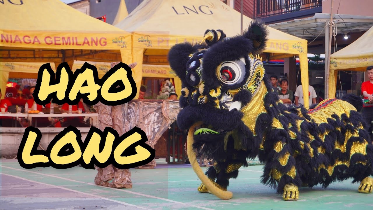 HAO LONG | SINGA GAGAH BERANI MENGAMBIL MUSTIKA DI BADAN ULAR | KWAN ...