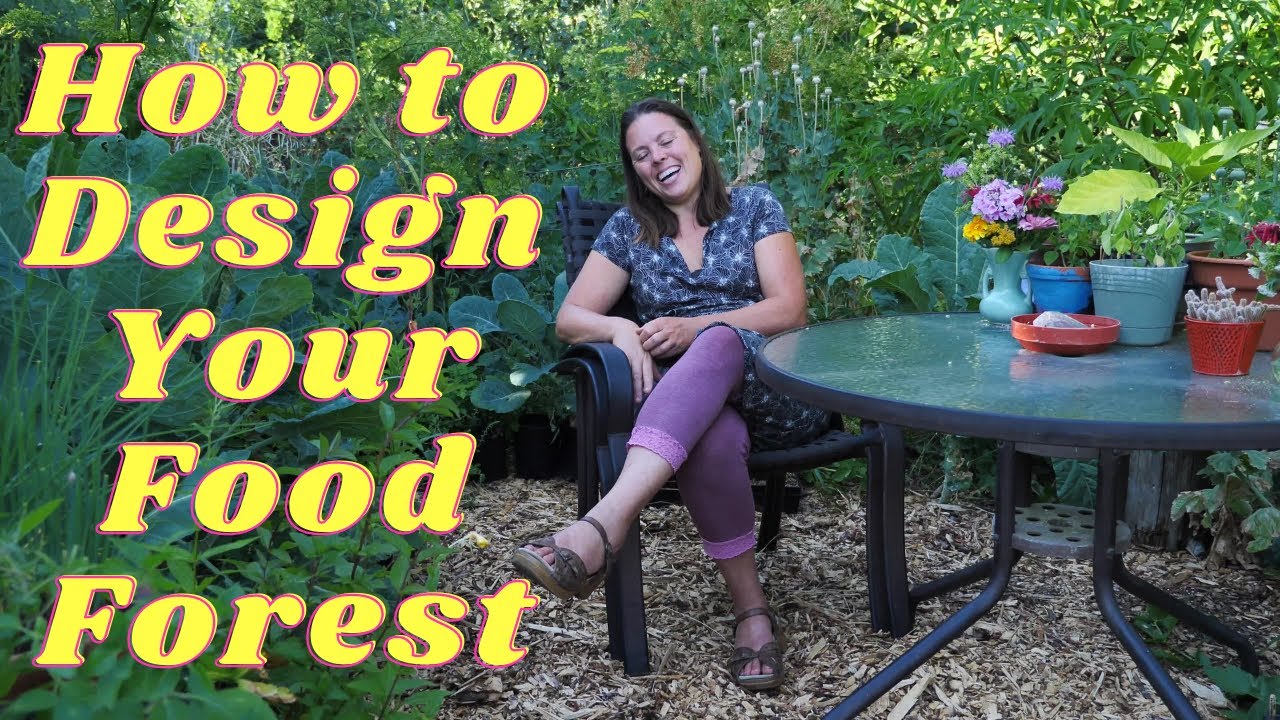 How to Design Your Food Forest - YouTube