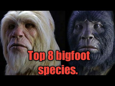 Top 8 bigfoot species. - YouTube