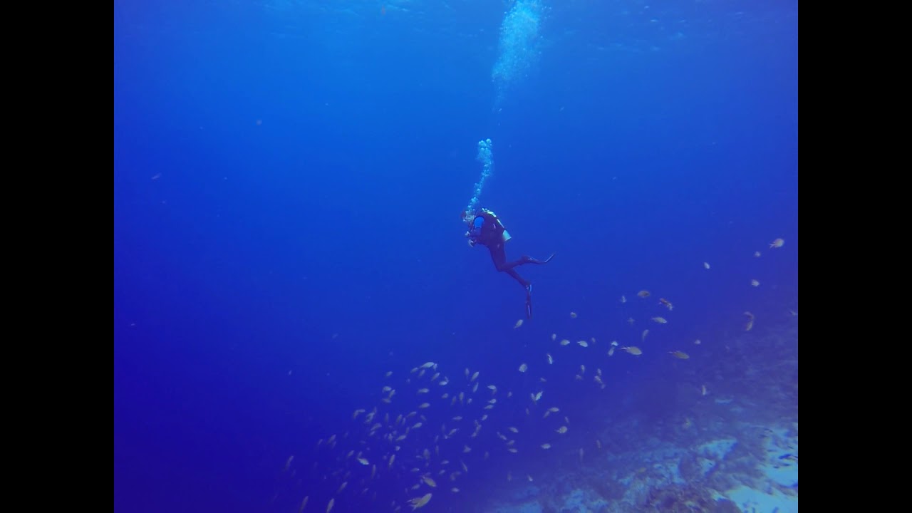 Mark Markey Mark diving in Curacao - YouTube