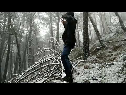 CLASE DE QI GONG EN LA NIEVE