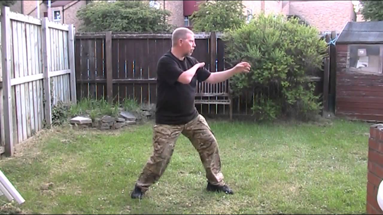 Lesson 02 - Hand and Leg strikes - YouTube