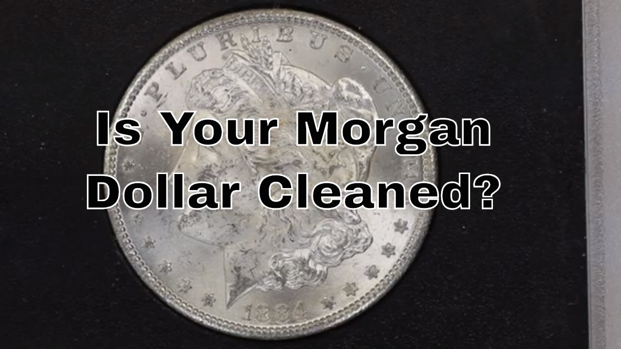 Is Your Morgan Dollar Cleaned? How To Identify Cleaned Morgan Dollars ...