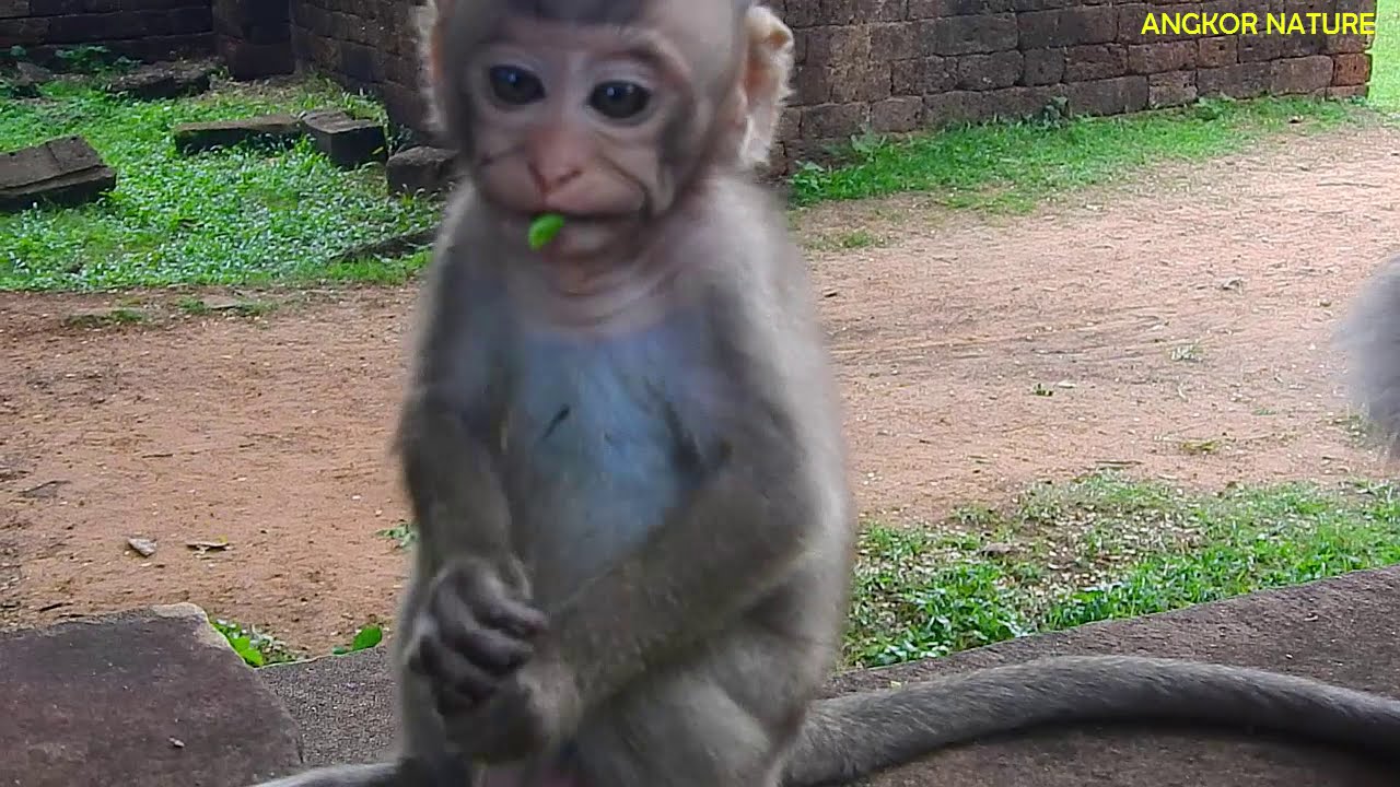 Broke heart to see Dana not give milk and hit baby Daniela many times ...