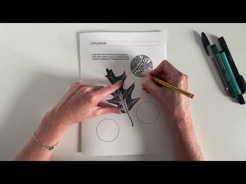 Drawing Observation Mark Making Application - YouTube