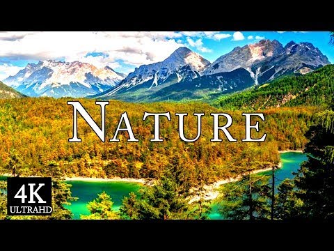 Stunning 4K Nature Videos - Nature Sounds, Dream Relax,4K UHD, Piano ...