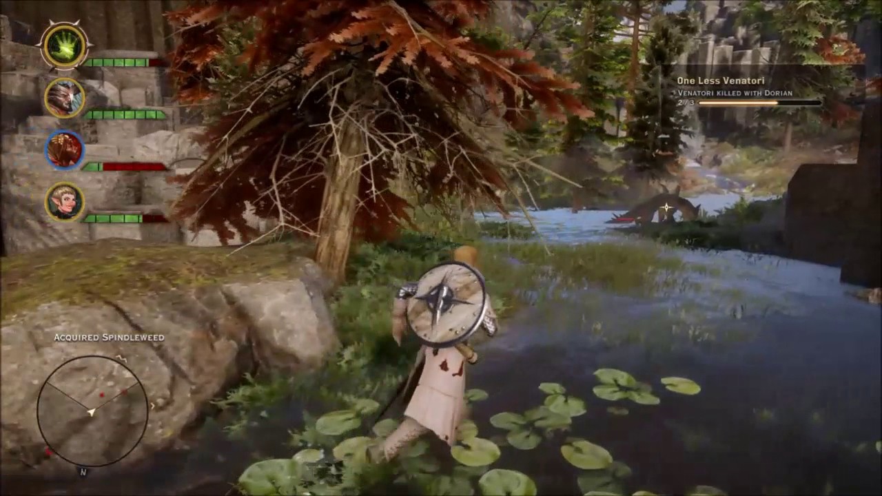 #29 Dragon Age: Inquisition - Hinterlands - The Fereldan Frostback ...