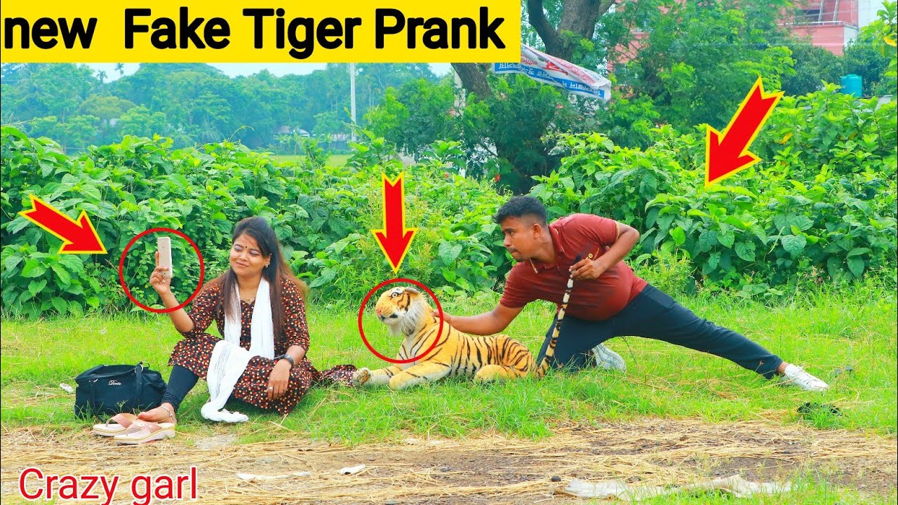 new Fake Tiger Prank With Grandpa !! Fake Tiger vs Public Reaction ...