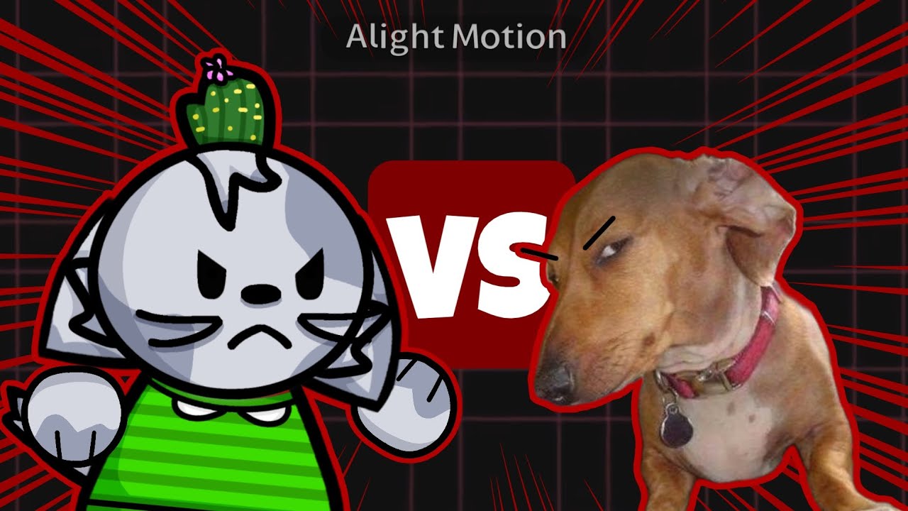 Gatox conoce a un perro común [1/2] - YouTube