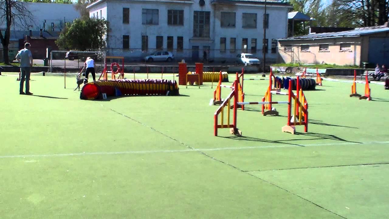 Alvin jumping - YouTube
