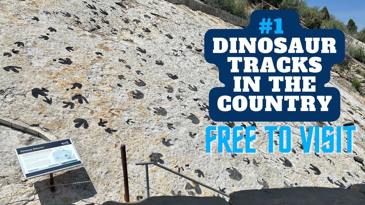 Dinosaur Ridge: The #1 Site for dinosaur tracks in the nation! - YouTube