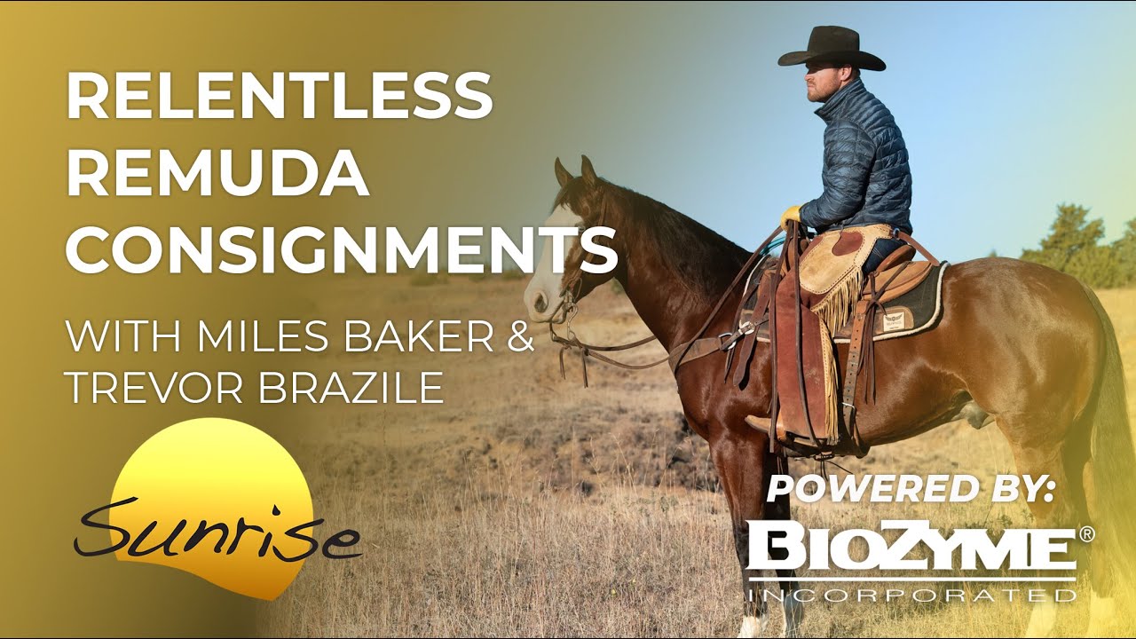 Relentless Remuda Consignments in the Horse Sale at Rancho Rio ...