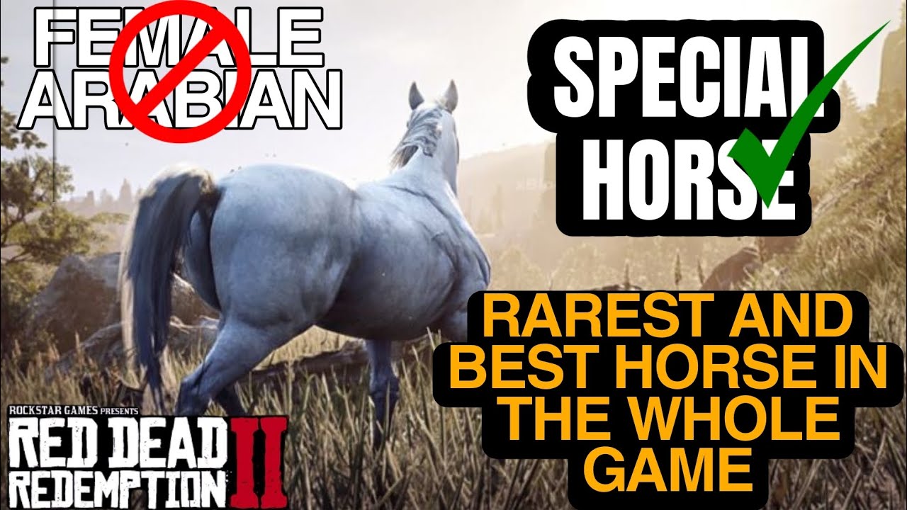 ONE AND ONLY SPECIAL ARABIAN IN RDR2 | FULL GUIDE - YouTube