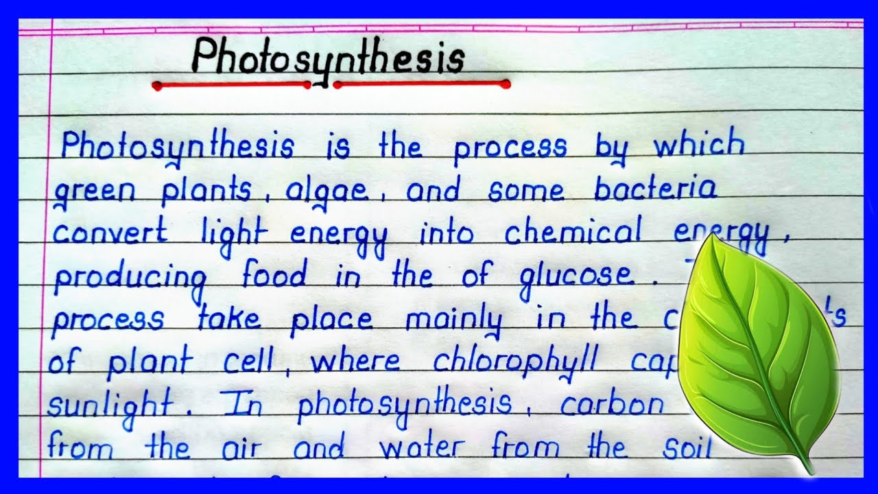 Essay On Photosynthesis In English Photosynthesis Essay In English essay-on-photosynthesis-in-english-photosynthesis-essay-in-english