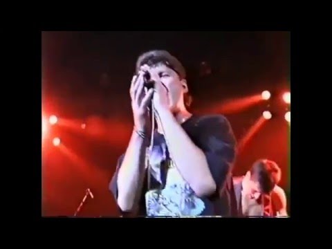 Сектор Газа - Из чего же (Концерт в Москве)