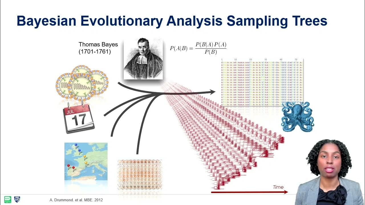Phylodynamics 101: Bayesian Analysis Molecular Sequences - YouTube
