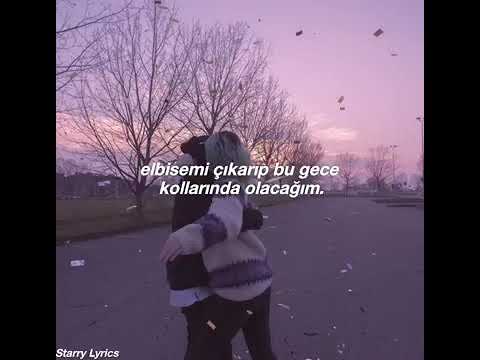 oyi seyirler