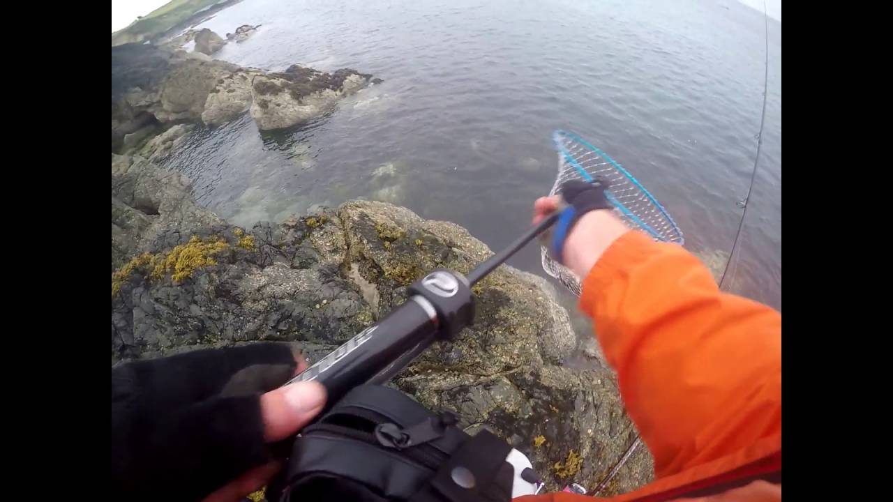 LRF FISHING THE BEST OF THE DAWN - YouTube