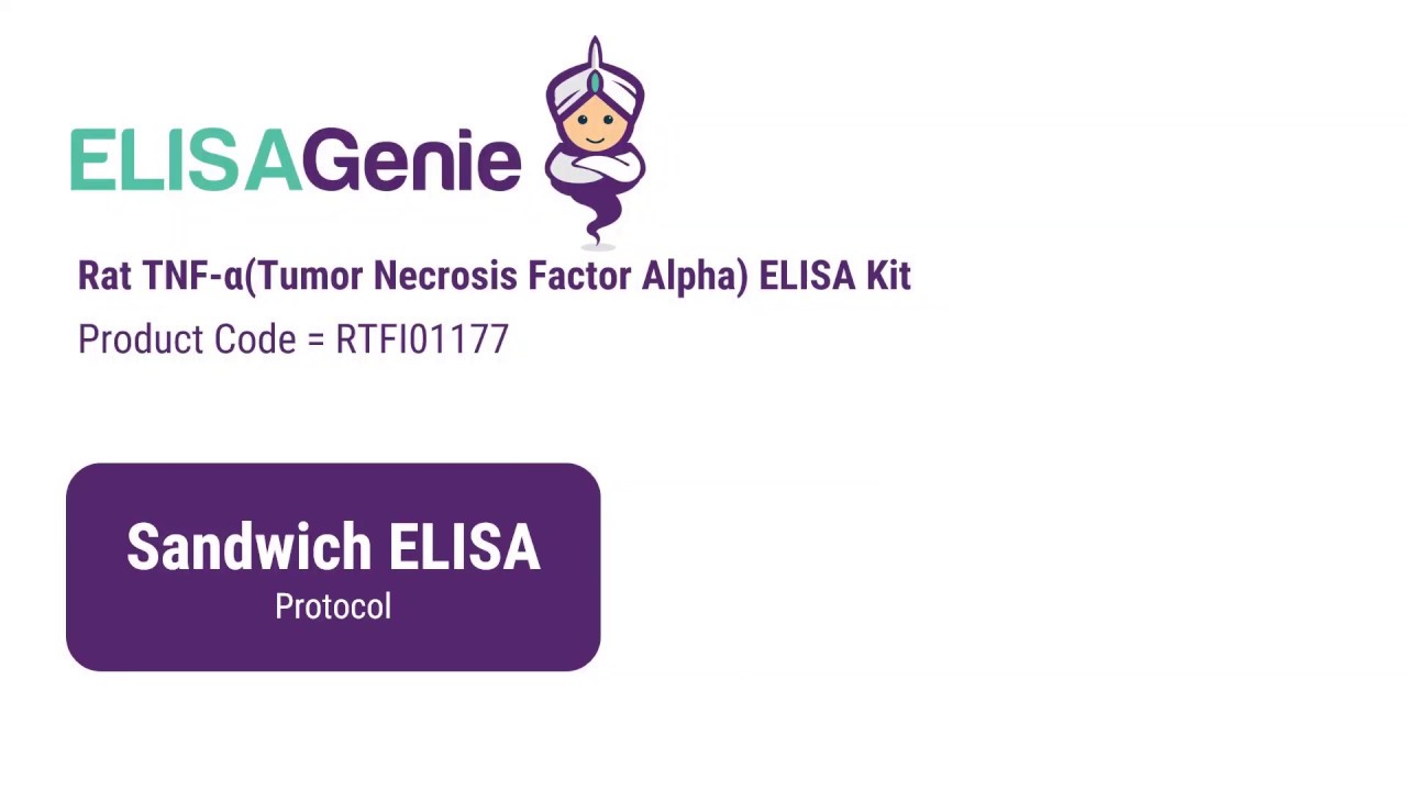 Rat TNF-Alpha (Tumor Necrosis Factor Alpha) ELISA Kit (SKU: RTFI01177 ...