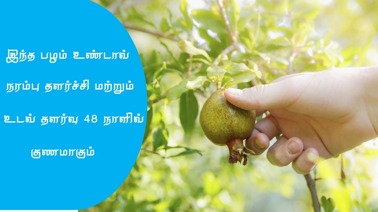 48 நாளில் நரம்பு பலகீனம் மற்றும் உடல் தளர்வு நீங்க - Narambu thalarchi ...