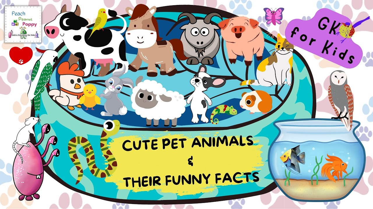Cute Animals Fun Fact | Animals Name for Kids | Animal Kingdom #cartoon ...