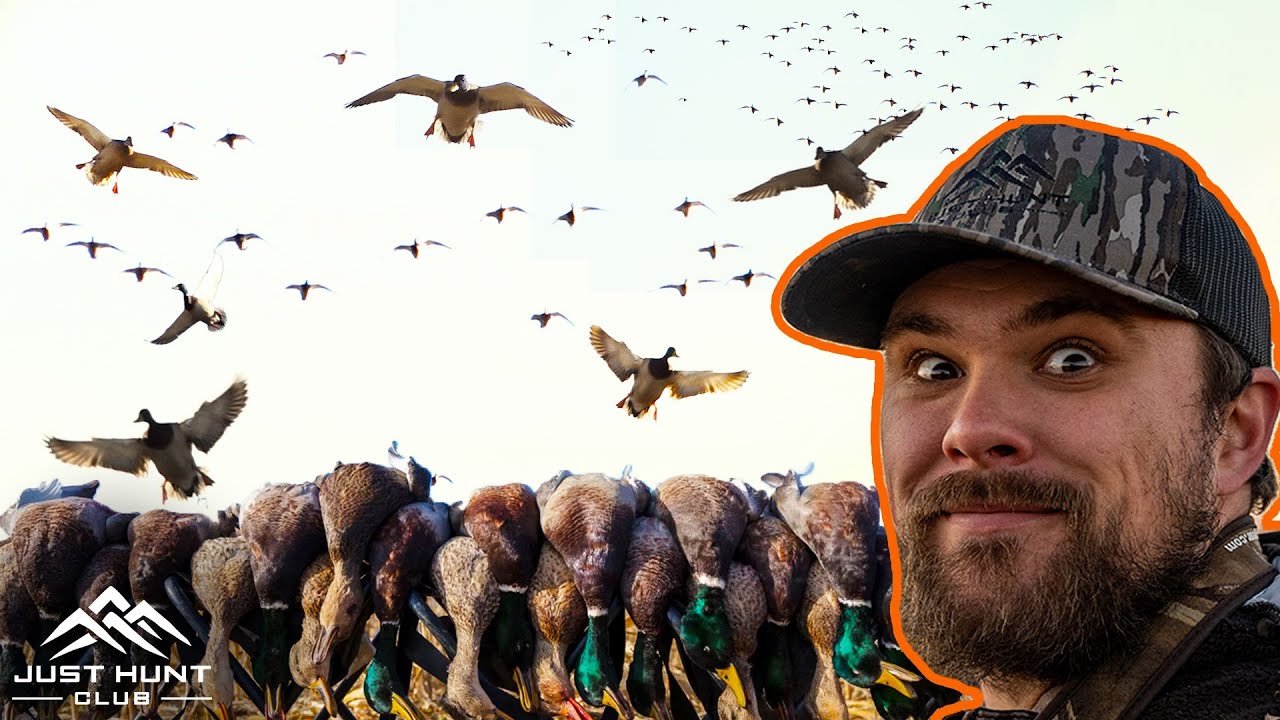 DECOYING HUGE FLOCKS OF DUCKS | Duck Hunting 2022 - YouTube
